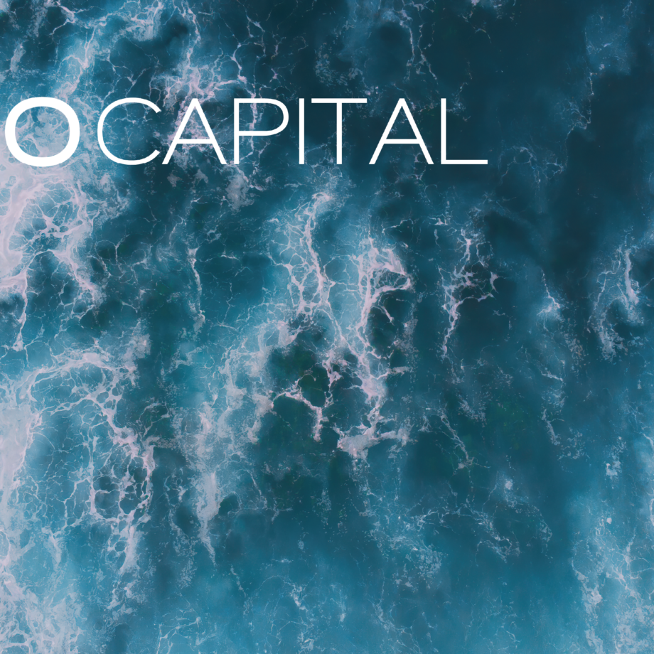 Impact Océan Capital, nouveau fonds d'investissement à impact - Go capital